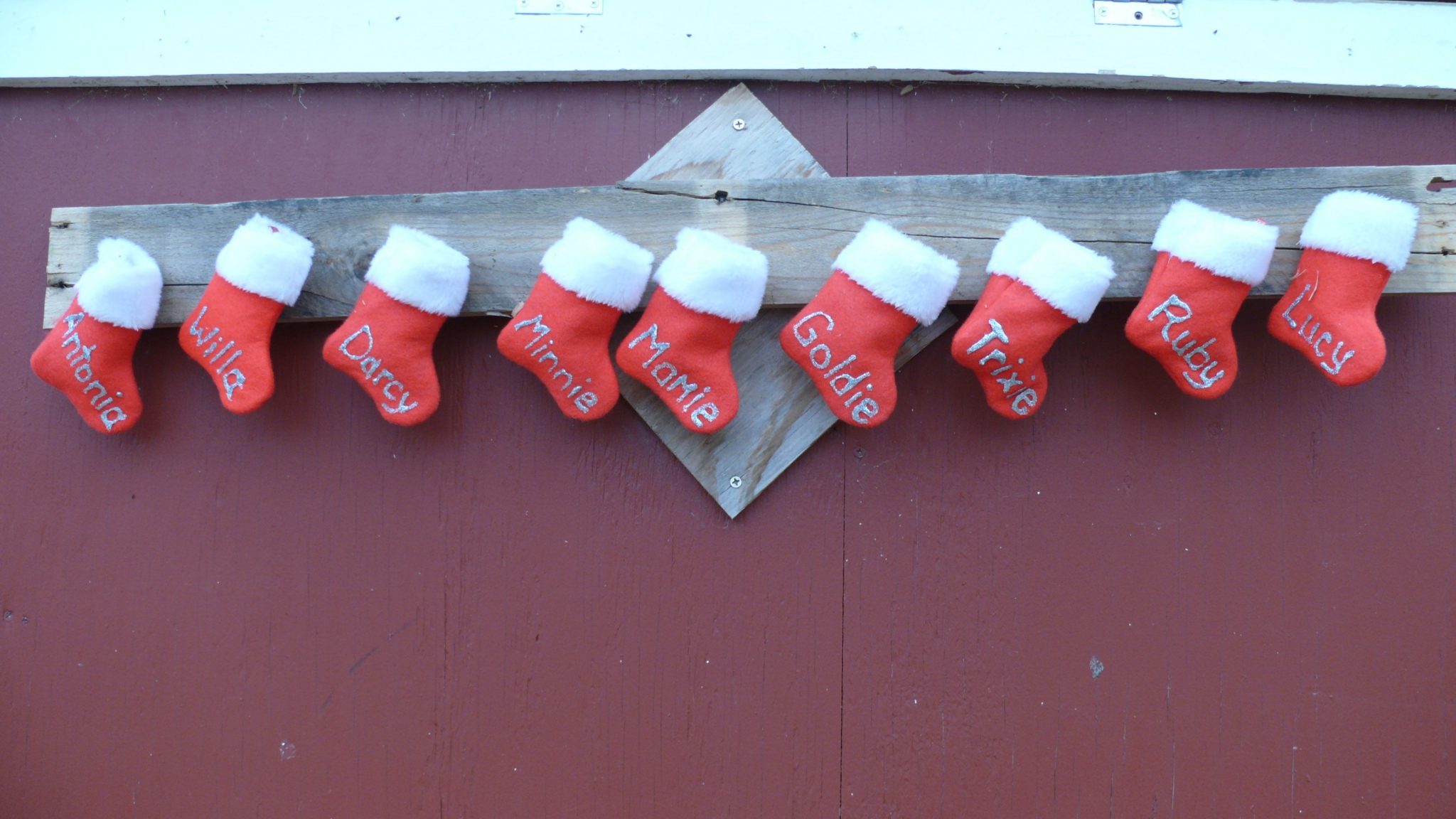 Holiday Chicken Decor - Backyard Poultry